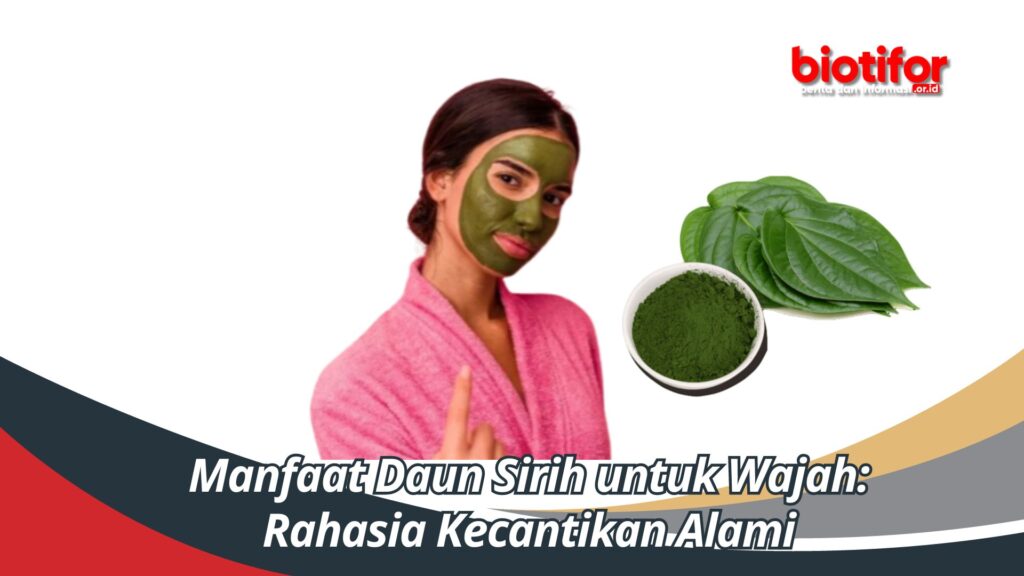 Manfaat Daun Sirih untuk Wajah: Rahasia Kecantikan Alami