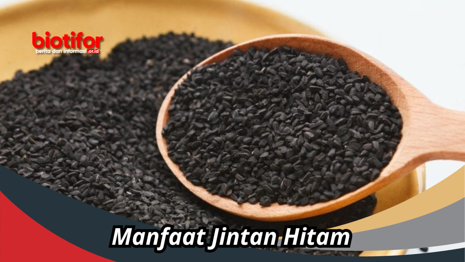 Manfaat Jintan Hitam Untuk Kesehatan Dan Pengobatan