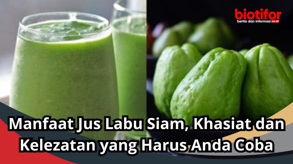 Manfaat Jus Labu Siam, Khasiat dan Kelezatan yang Harus Anda Coba - Biotifor