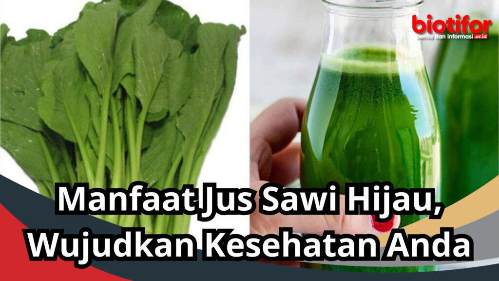 Manfaat Jus Sawi Hijau, Wujudkan Kesehatan Anda - Biotifor