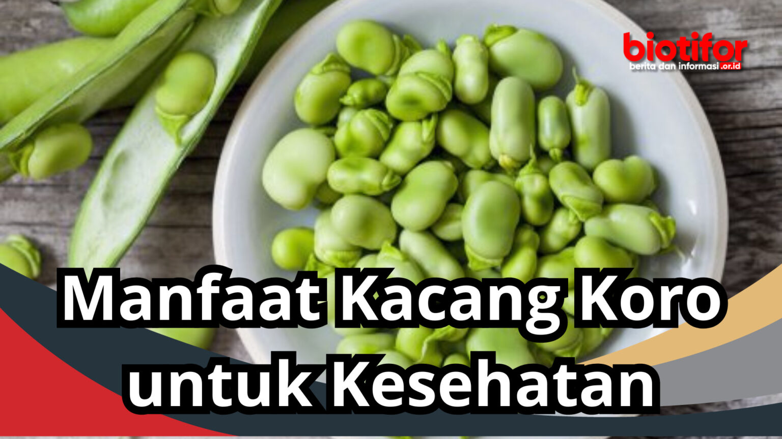 Manfaat Kacang Koro untuk Kesehatan - Biotifor