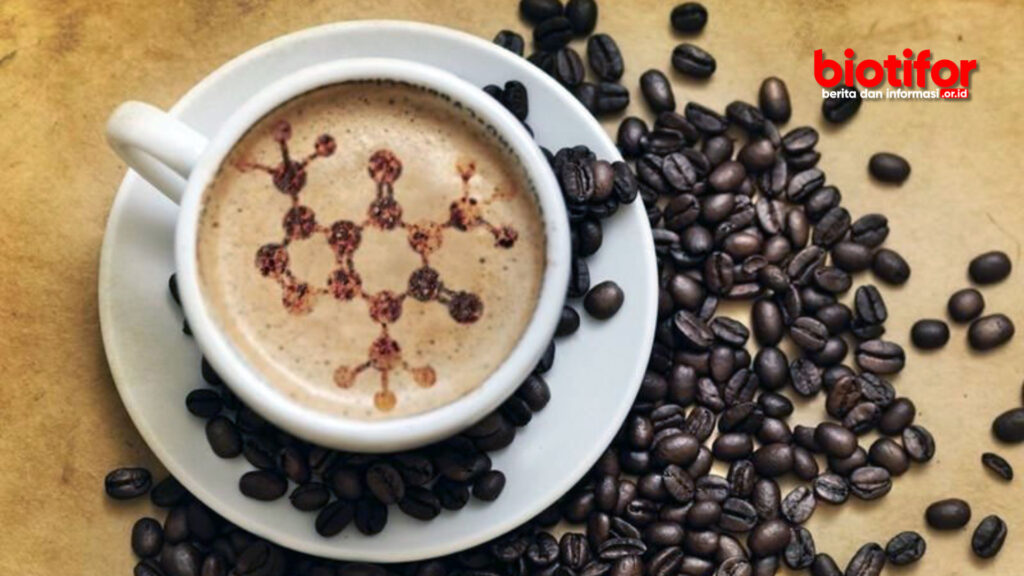 Manfaat Kafein untuk Tubuh dan Kesehatan - Biotifor