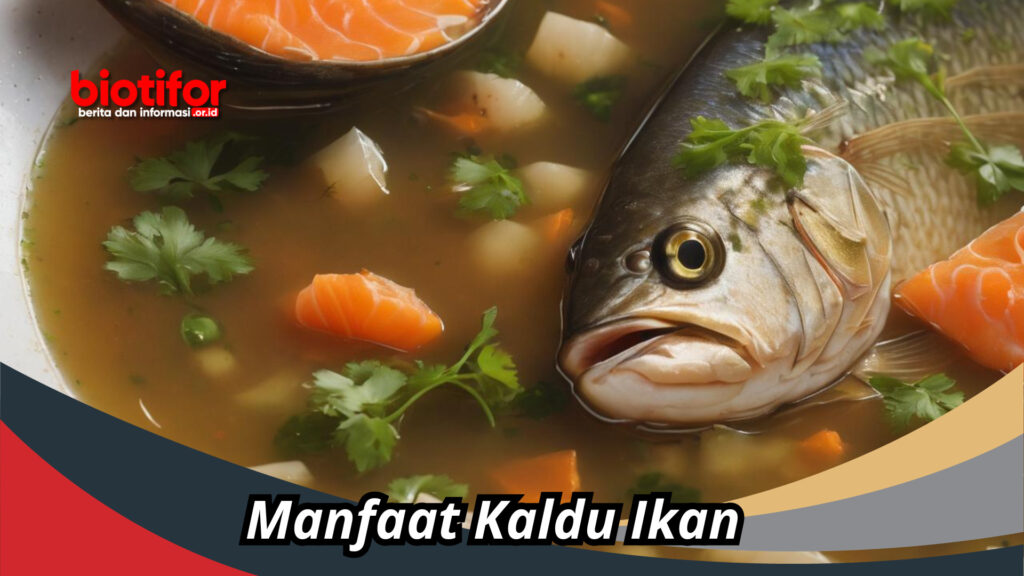 Manfaat Kaldu Ikan - Membantu Mengatasi Masalah Kesehatan