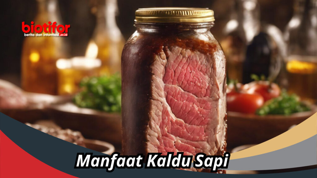 Manfaat Kaldu Sapi Untuk Kesehatan Dan Kuliner - Biotifor