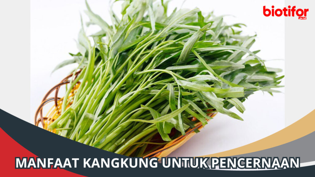 Manfaat Kangkung untuk Pencernaan, Simak! - Biotifor