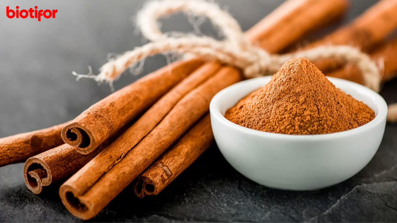 Manfaat Kayu Manis untuk Diabetes: Mitos atau Kenyataan? - Biotifor