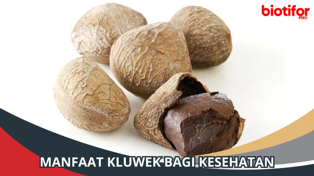 5 Manfaat Kluwek Bagi Kesehatan - Biotifor