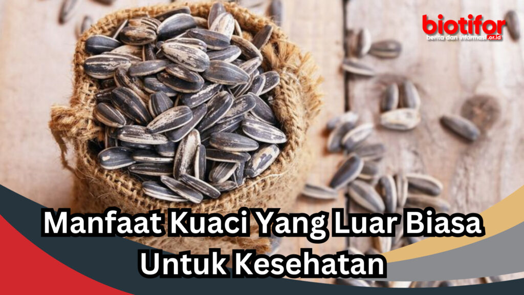 Manfaat Kuaci Yang Luar Biasa Untuk Kesehatan - Biotifor