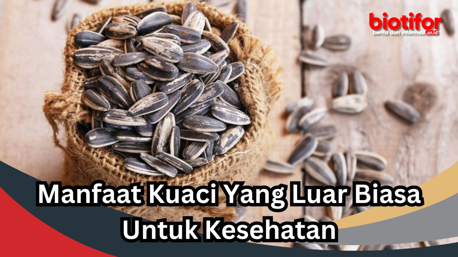 Manfaat Kuaci Yang Luar Biasa Untuk Kesehatan - Biotifor