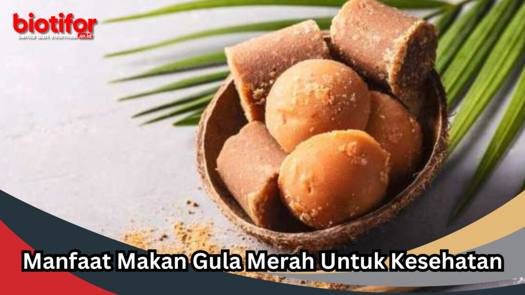 5 Manfaat Tropicana Slim yang Perlu Kamu Ketahui - Biotifor