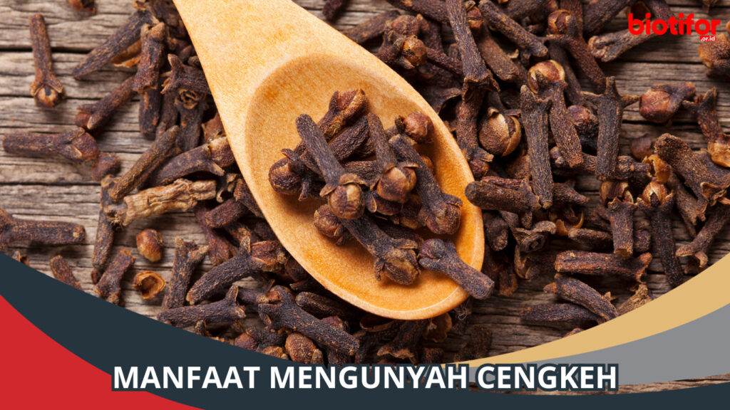 Manfaat Mengunyah Cengkeh, Kesehatan yang Menyeluruh - Biotifor