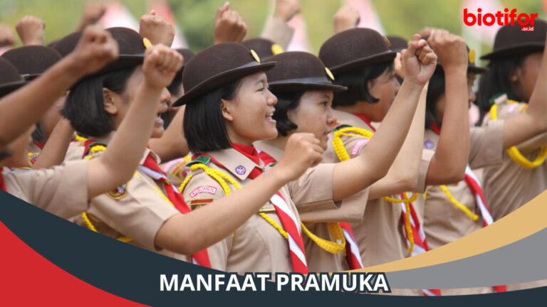 Manfaat Pramuka: Membangun Keterampilan Sejak Dini - Biotifor