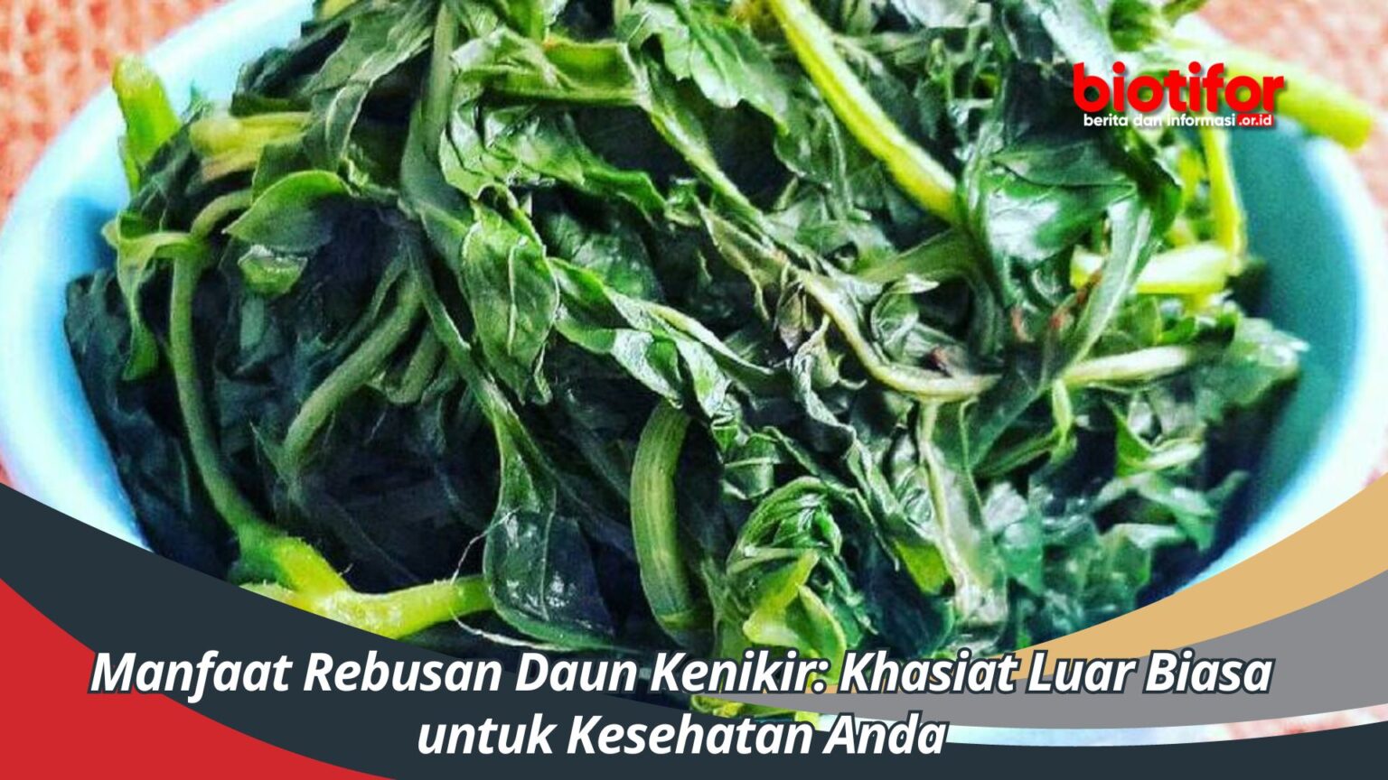 Manfaat Rebusan Daun Kenikir, Khasiat Luar Biasa untuk Kesehatan Anda