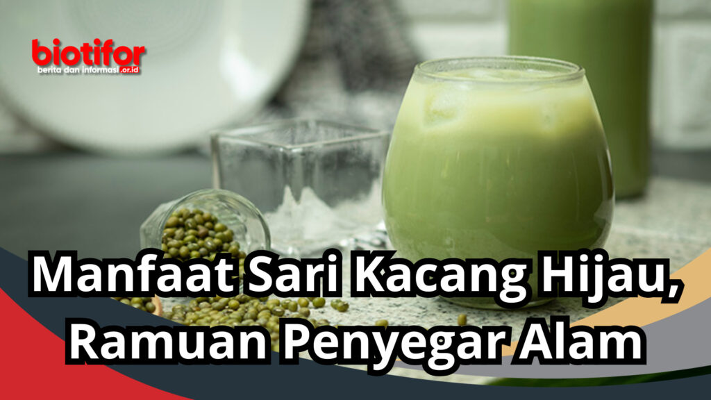 Manfaat Kacang Tolo Atau Kacang Tunggak: Benutrisi Tinggi