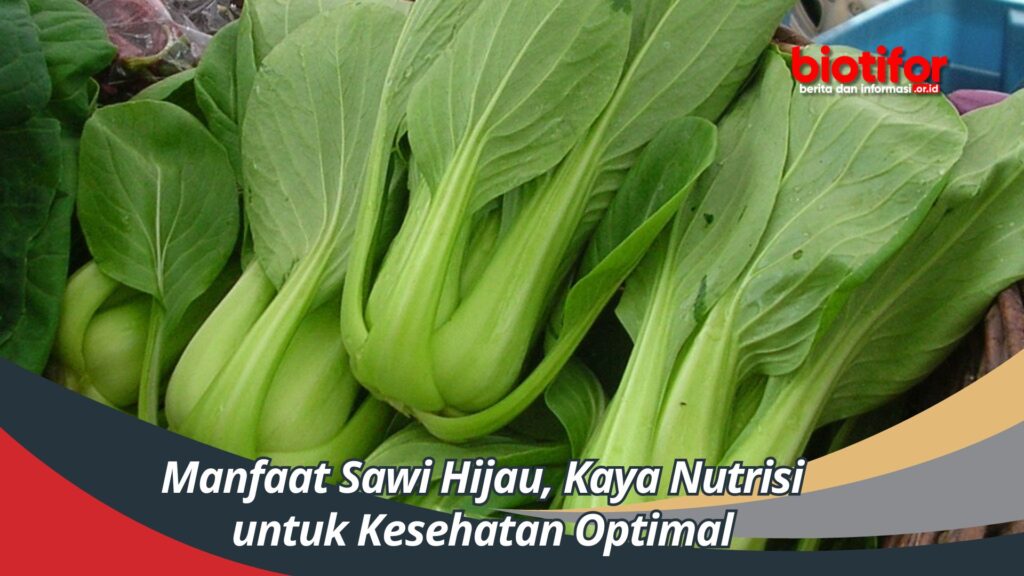 Manfaat Sawi Hijau, Kaya Nutrisi untuk Kesehatan Optimal