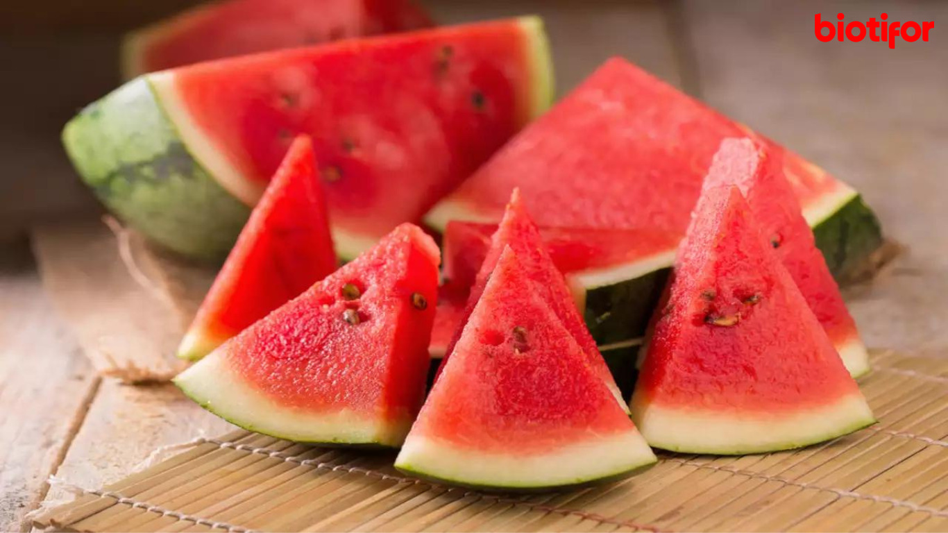 Manfaat Semangka untuk Pria: Segarkan Kesehatan Anda - Biotifor Manfaat Semangka untuk Pria: Segarkan Kesehatan Anda - Biotifor