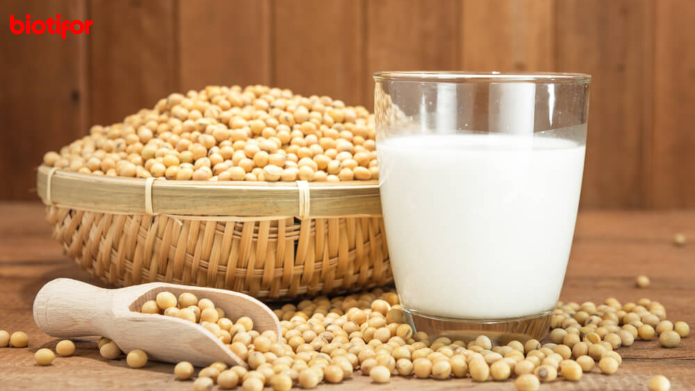 Manfaat Susu Kedelai untuk Ibu Hamil, Simak! - Biotifor