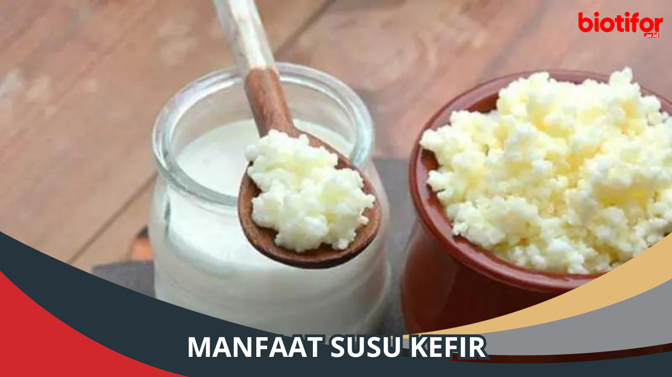 Manfaat Susu Kefir: Kesehatan dalam Setiap Tetesnya - Biotifor Manfaat Susu Kefir: Kesehatan dalam Setiap Tetesnya - Biotifor