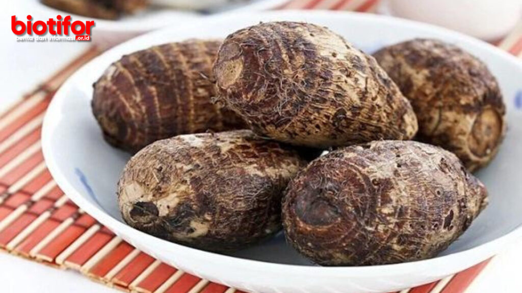 Manfaat Talas Rebus Untuk Kesehatan - Biotifor