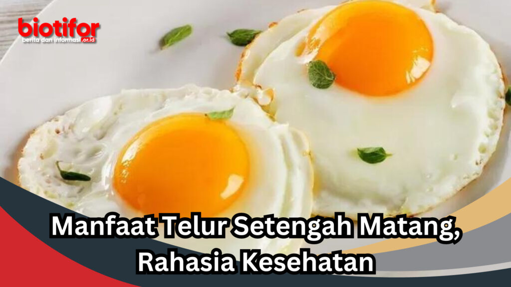 Manfaat Telur Setengah Matang, Rahasia Kesehatan - Biotifor