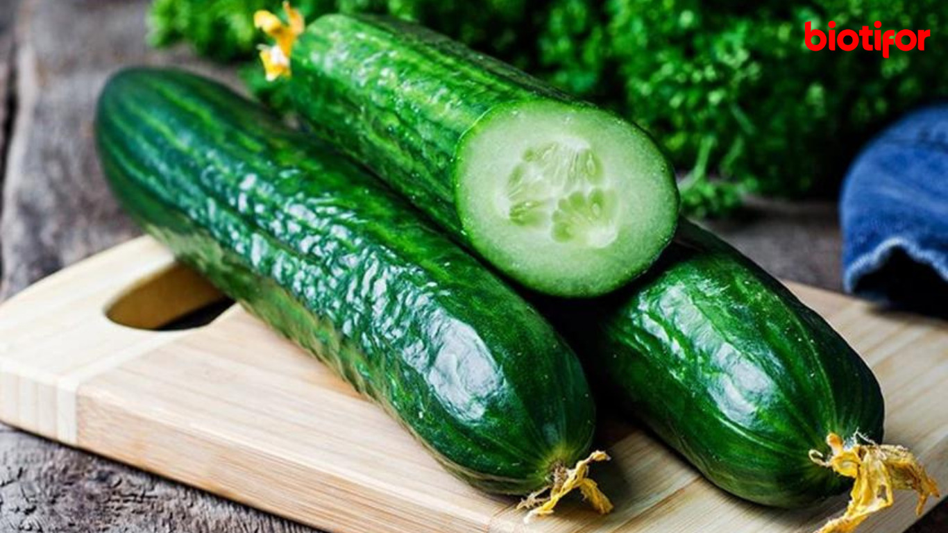 Manfaat Timun untuk Mata: Segarkan Penglihatan Anda! - Biotifor