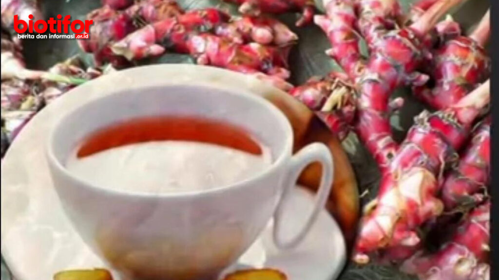 Manfaat Wedang Jahe Merah, Ramuan Kesehatan Tradisional - Biotifor Manfaat Wedang Jahe Merah, Ramuan Kesehatan Tradisional - Biotifor