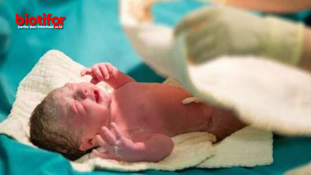 Perawatan Bayi Baru Lahir, Panduan Lengkap - Biotifor