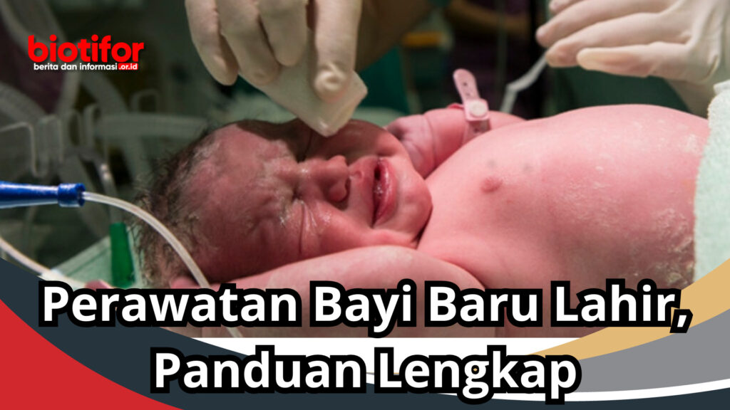 Perawatan Bayi Baru Lahir, Panduan Lengkap - Biotifor
