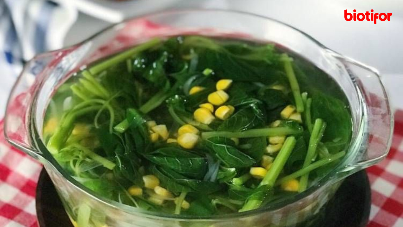Resep Sayur Bayam dan Manfaatnya yang Luar Biasa - Biotifor