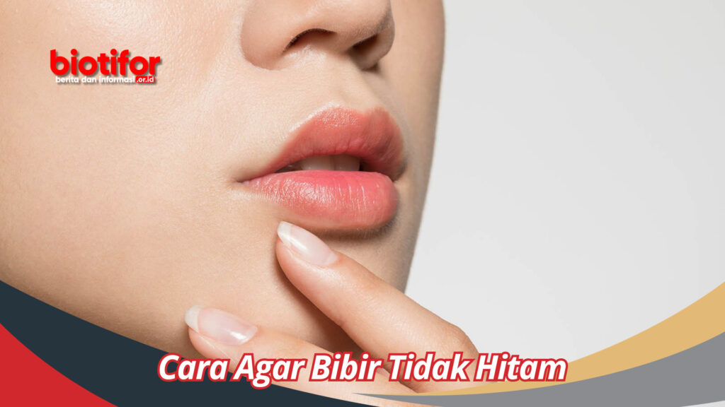 Cara Agar Bibir Tidak Hitam Dan Bisa Merah Alami