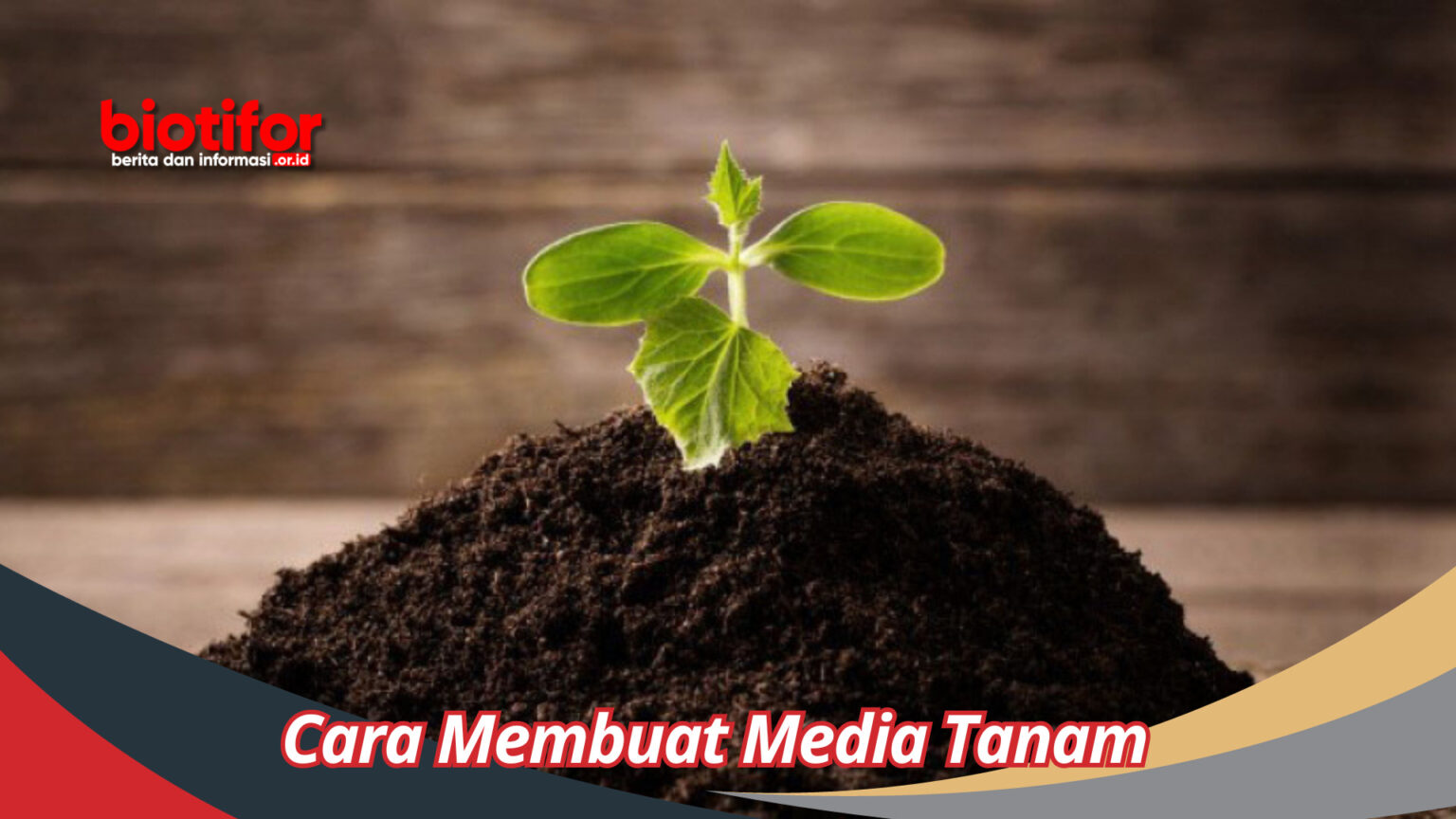 Cara Membuat Media Tanam: Solusi Kreatif untuk Pertumbuhan Tanaman yang ...