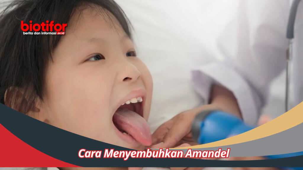 Cara Menyembuhkan Amandel Dengan Efektif Dan Mudah