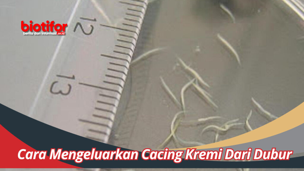 Cara Mengeluarkan Cacing Kremi Dari Dubur Tips Dan Trik