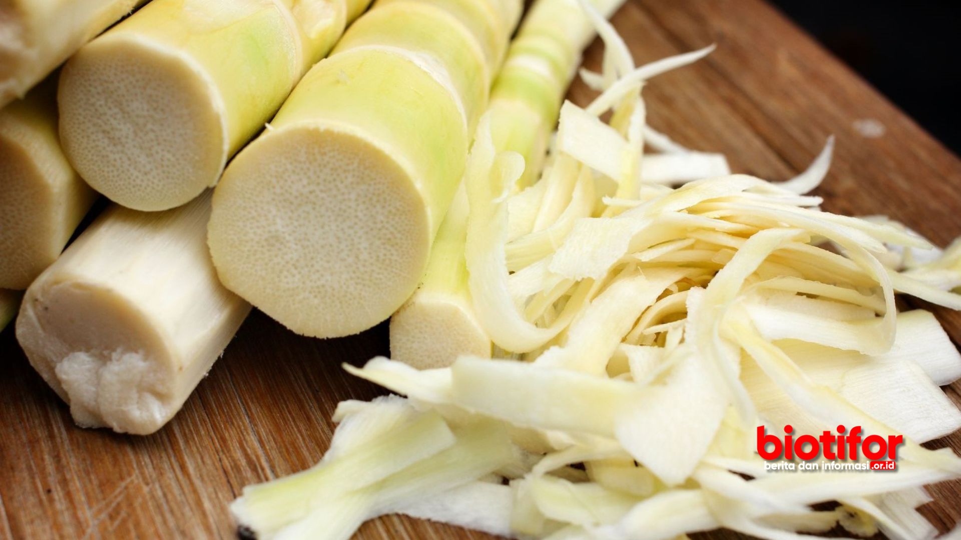 Manfaat Rebung Bambu, Kesehatan dan Kelezatan Tersembunyi